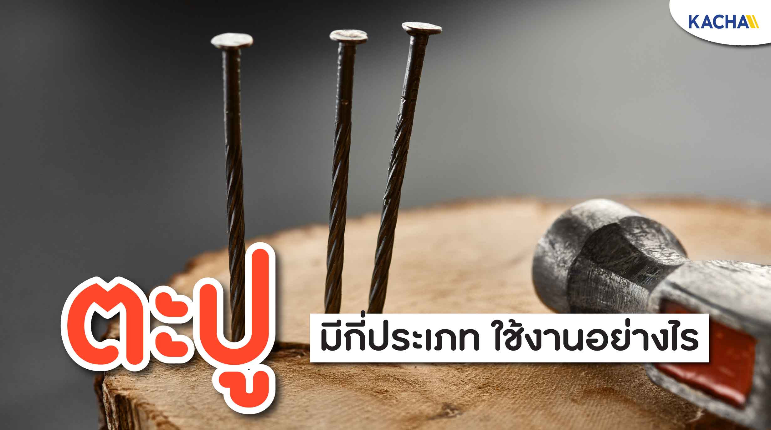 ตะปู มีกี่ประเภท ใช้งานอย่างไรจึงจะเหมาะสม - Kacha (Thailand)